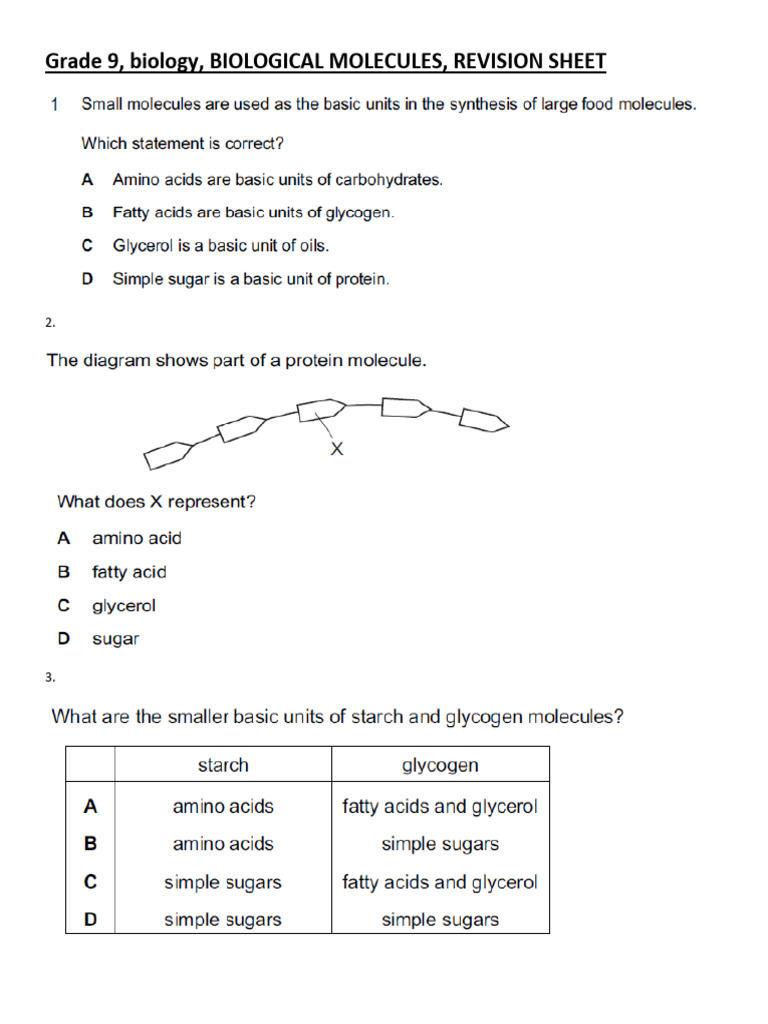 Biological Molecules, Revision Sheet | PDF