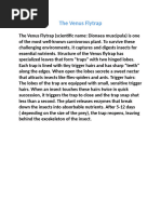Venus Flytrap Life Cycle for Kids | PDF