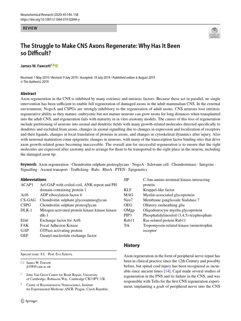 s11064-019-02844-y | PDF | Axon | Neuron