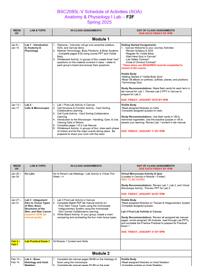 Anatomy & Physiology Lab Schedule 2025 | PDF | Nervous System | Nerve