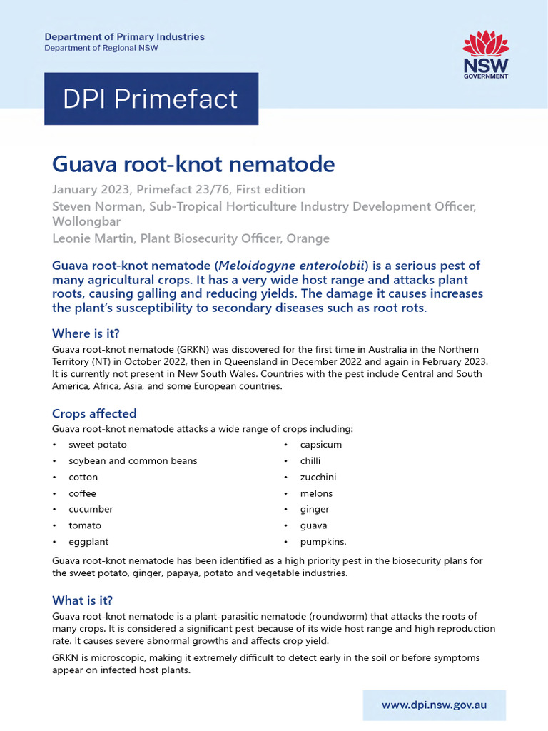 Guava-root-knot-nematode | PDF | Root | Plants