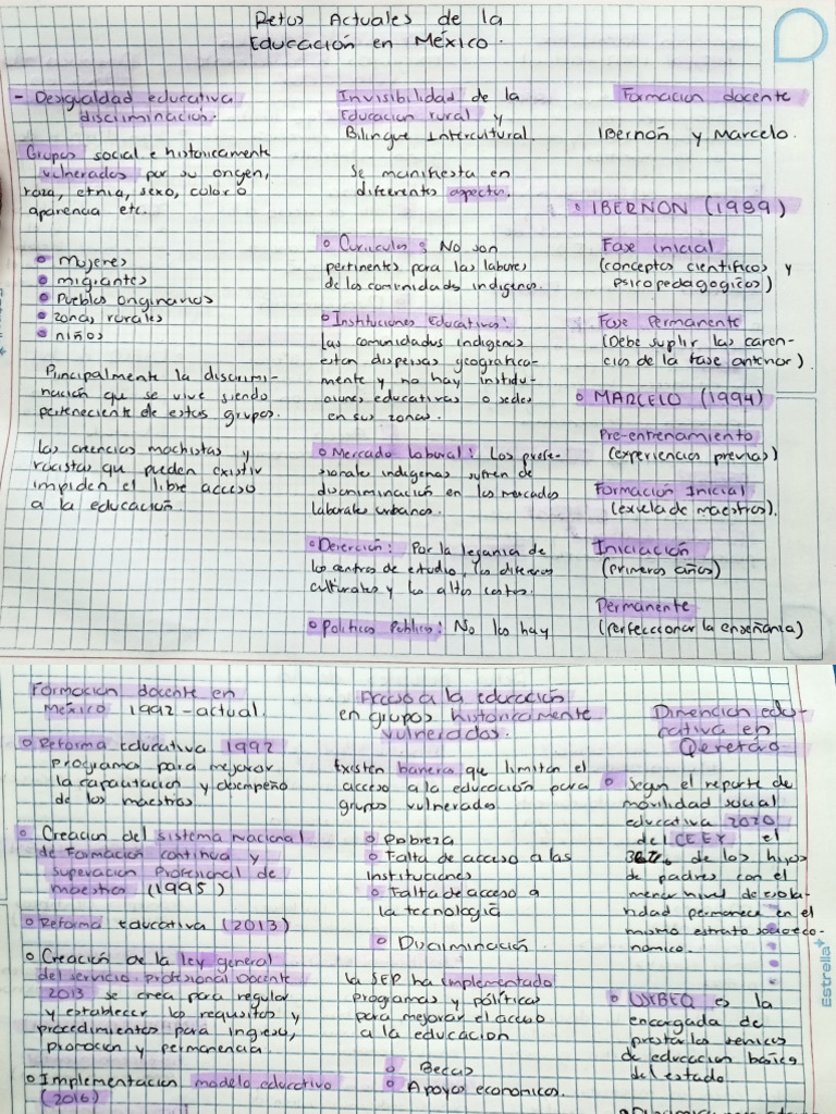 Resumen Esquema ARAUJO Mónica | PDF
