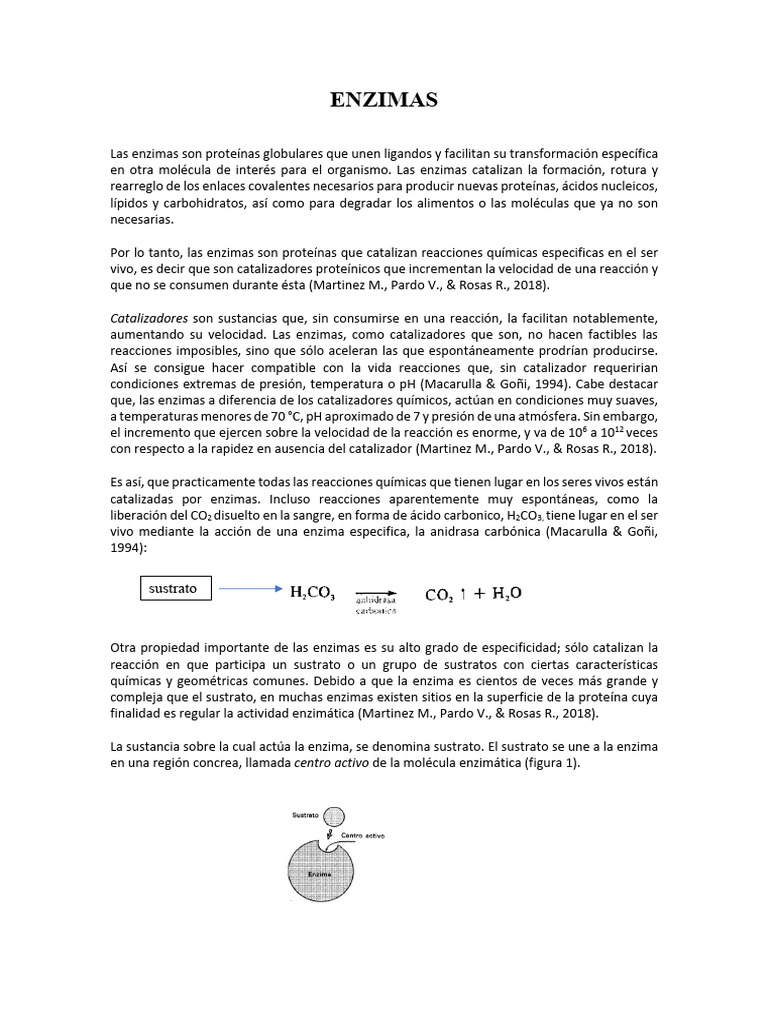 Tema ENZIMAS | PDF | Enzima | Cofactor (Bioquímica)
