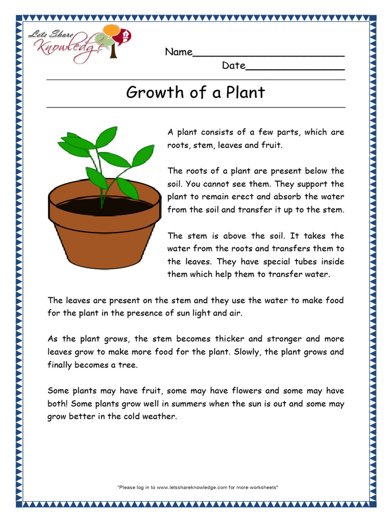 Growth of Plant Grade 2 Comprehension Worksheet | PDF | Root | Plants