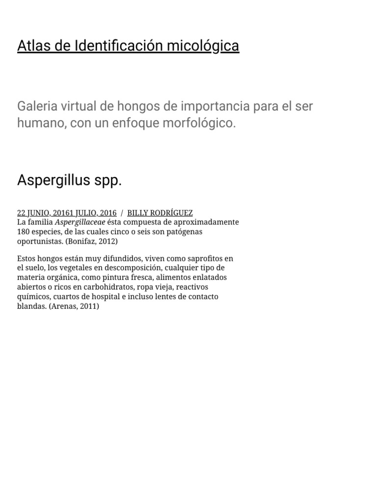 Aspergillus Spp. - Atlas de Identificación Micológica | PDF | Aspergilo | Micología