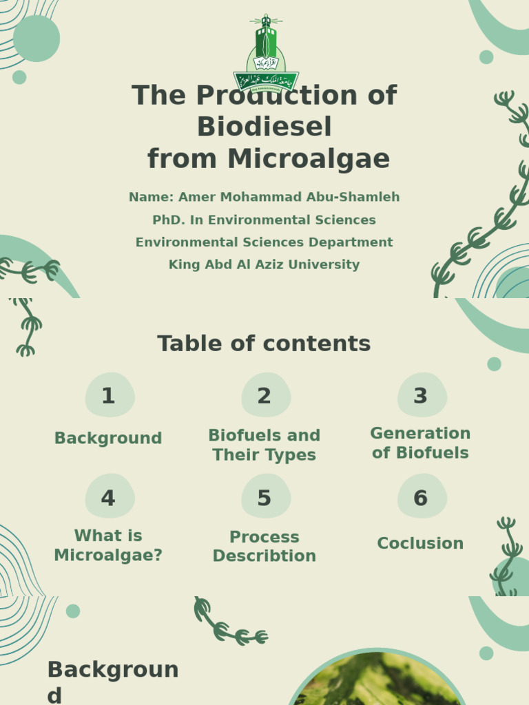 Algae Oil Supplements Breakthrough by Slidesgo | PDF | Algae Fuel | Biofuel