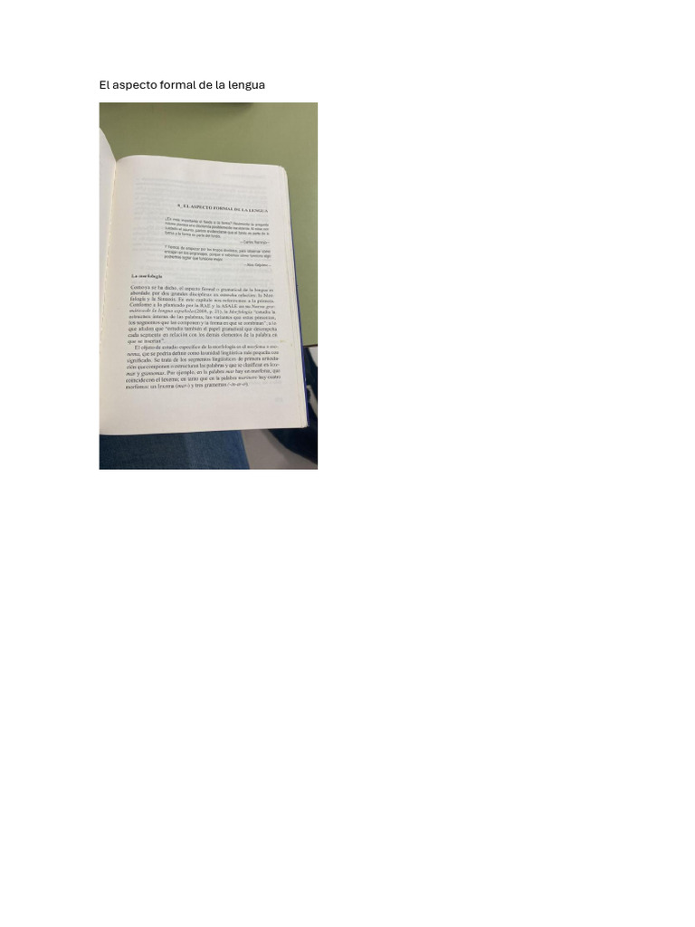 El Aspecto Formal de La Lengua | PDF