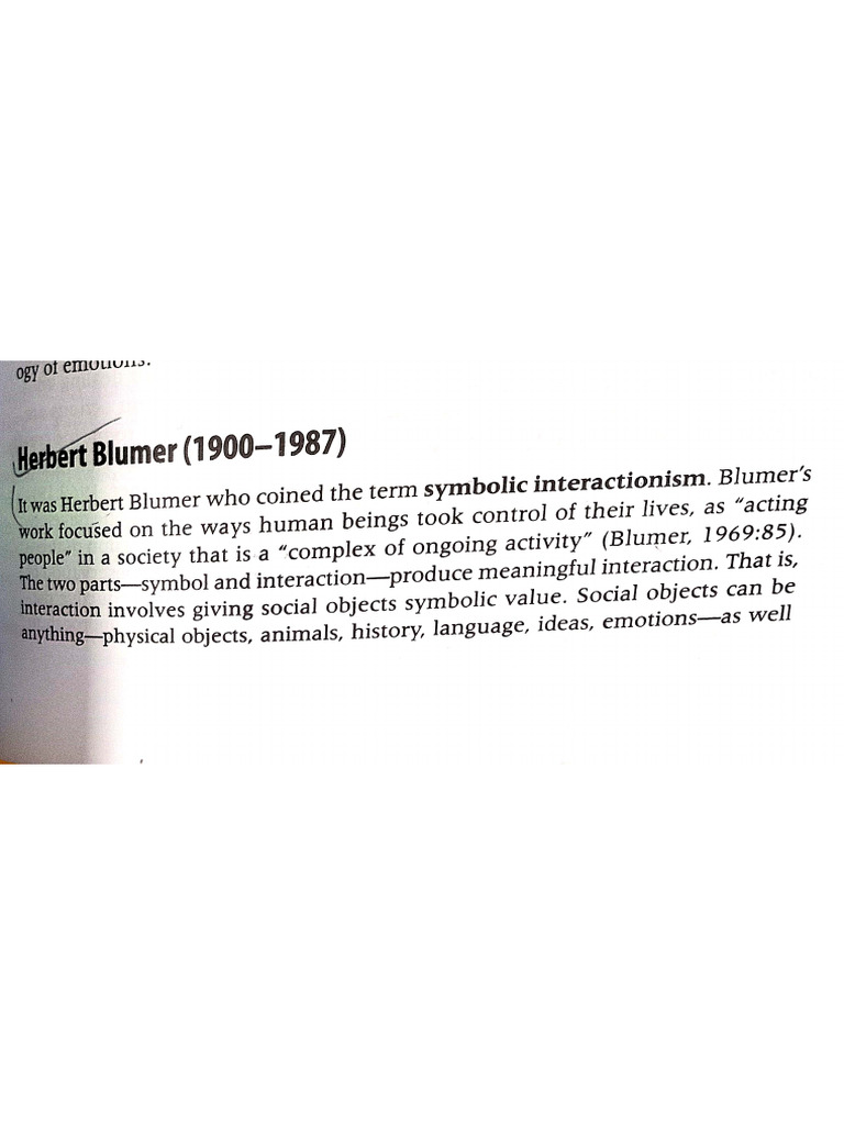 Symbolic Interaction | PDF