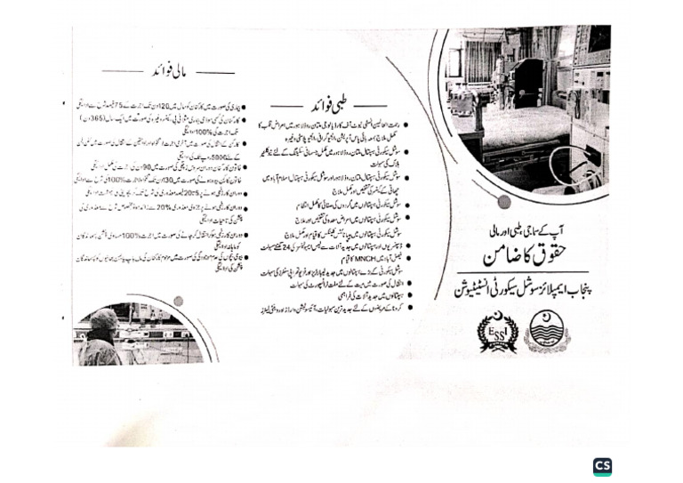 Pessi Benefits | PDF