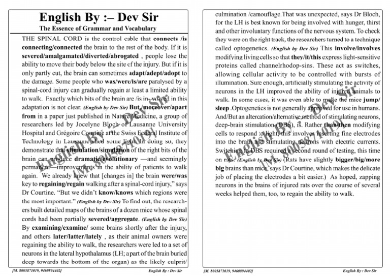 The Essence of Grammar and Vocabulary 22.12.2024 Image | PDF