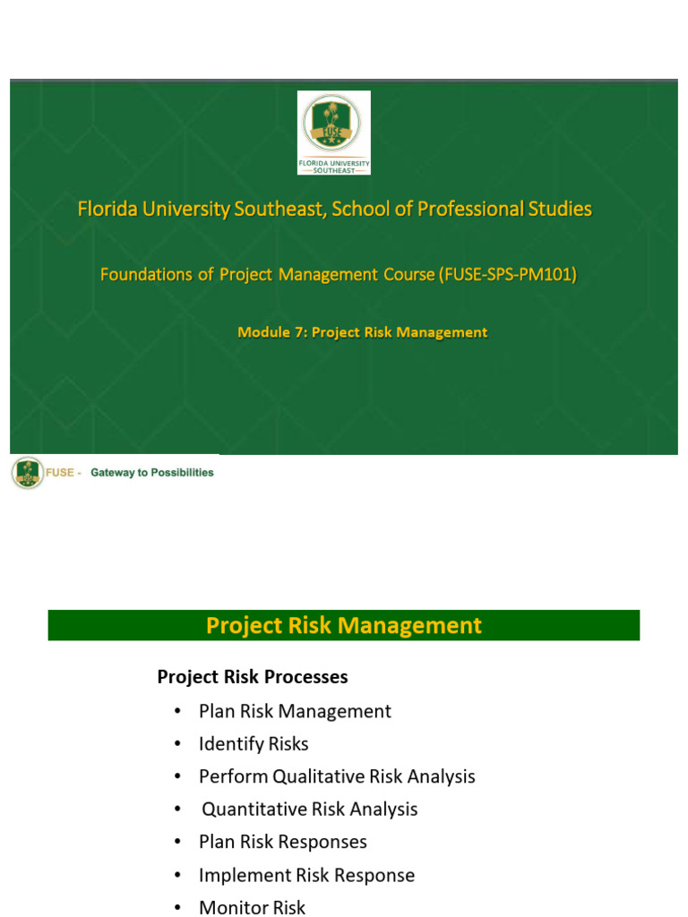 FUSE-SPS-PM101 Module 7 - Project Risk Management-2 | PDF | Risk | Risk ...