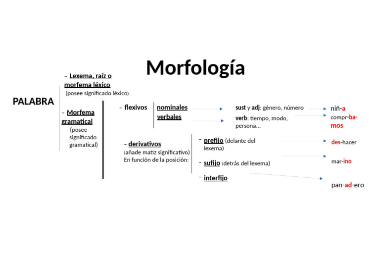 Estructura de la palabra_ clase de morfemas (1) | PDF
