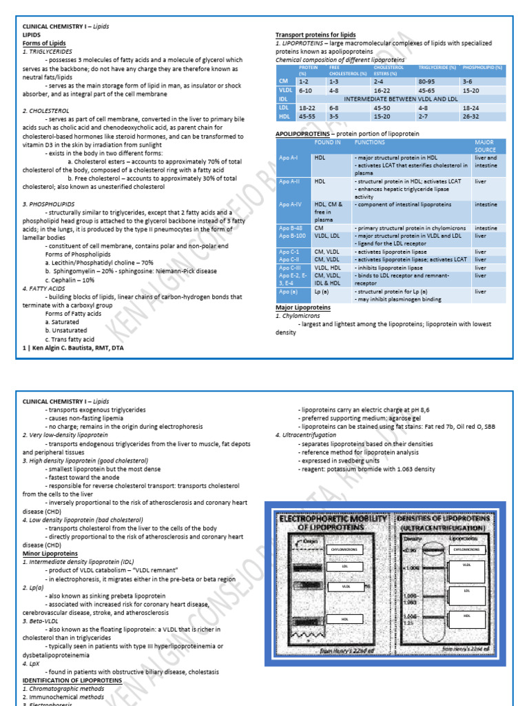 Lipids | PDF | Lipoprotein | Cholesterol