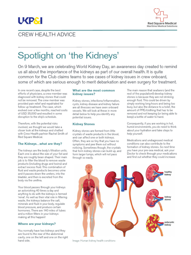 crew-health-advice-kidneys | PDF | Chronic Kidney Disease | Urinary ...