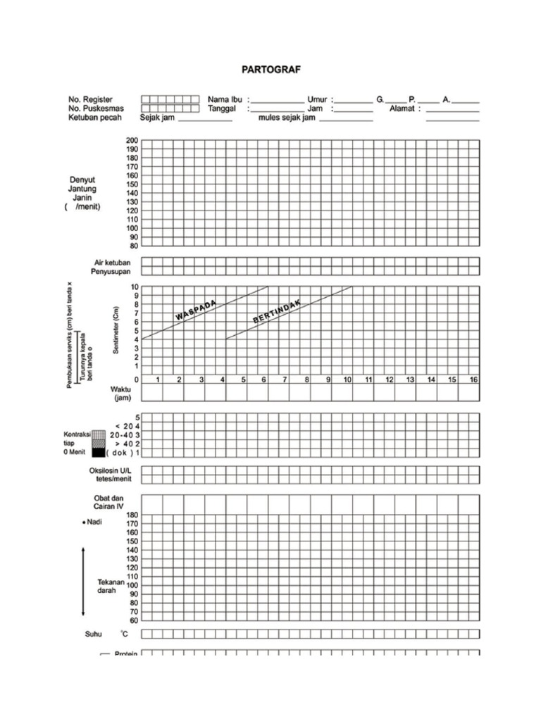Partograf | PDF