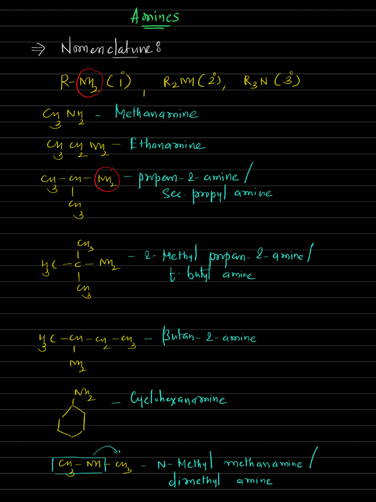 Amines 1 - 240913 - 195100 | PDF