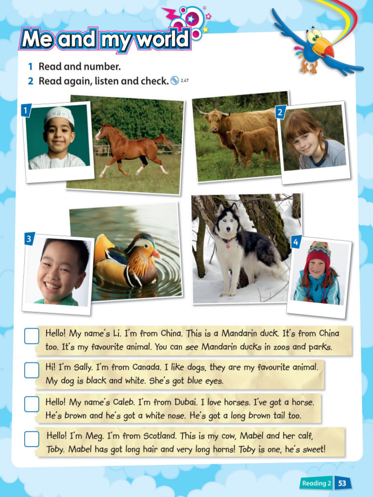 Animals. 8th Jan | PDF