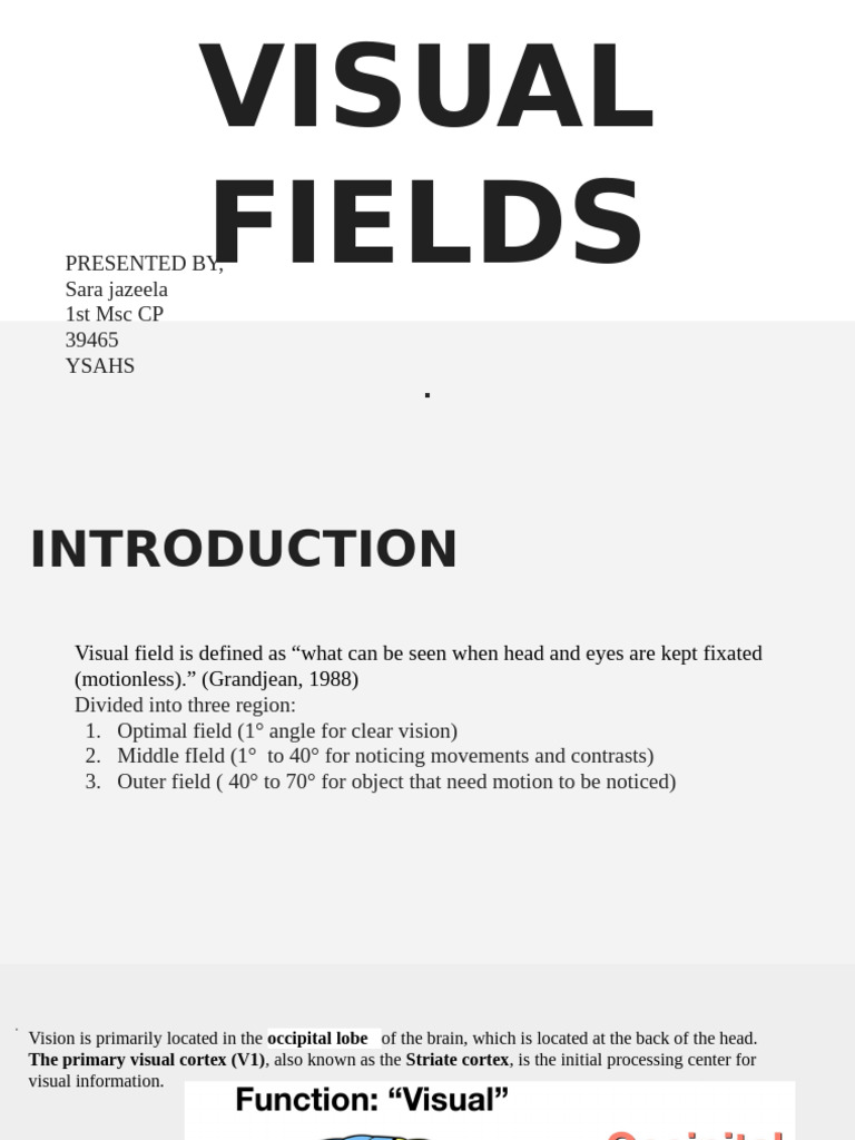 Divided Visual Fields (c2) - 1 | PDF | Retina | Visual Perception