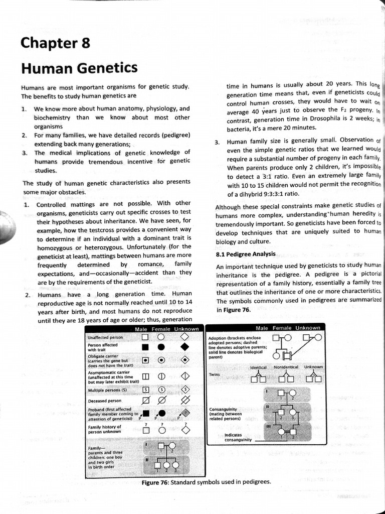 C-8 Human Genetics | PDF