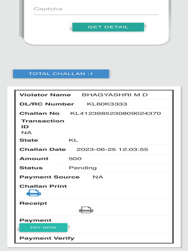 Echallan Terms and Contact Information | PDF