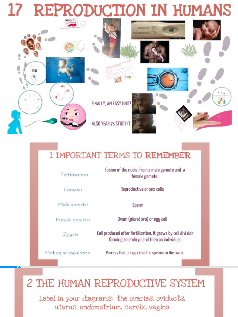 YouTube Video Links Compilation | PDF