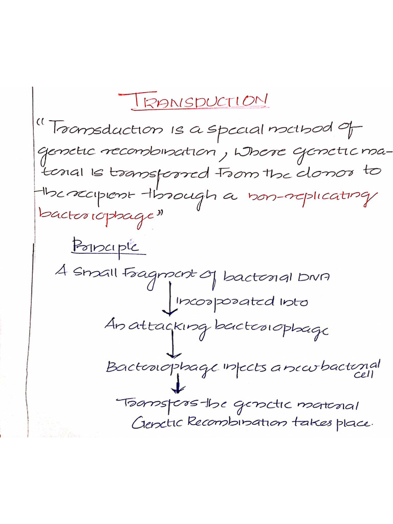TRANSDUCTION | PDF