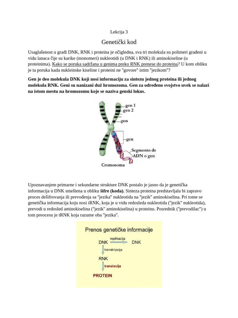 Lekcija 3 Geneticki kod | PDF