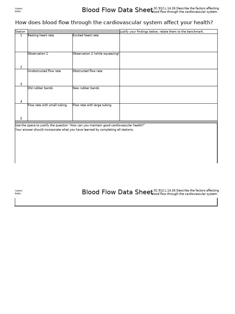 Blood Flow Data Sheet | PDF