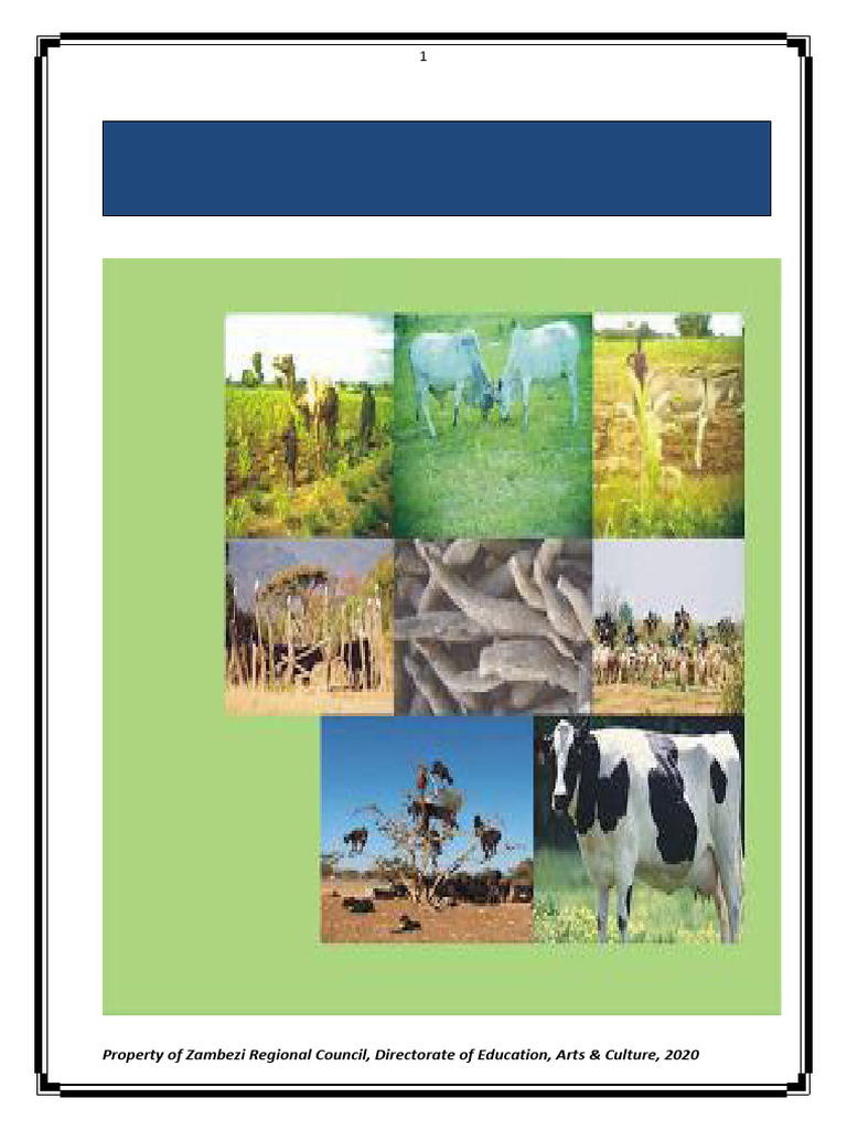 Grade 8 Agricultural Science Summary | PDF | Reproduction | Plant ...