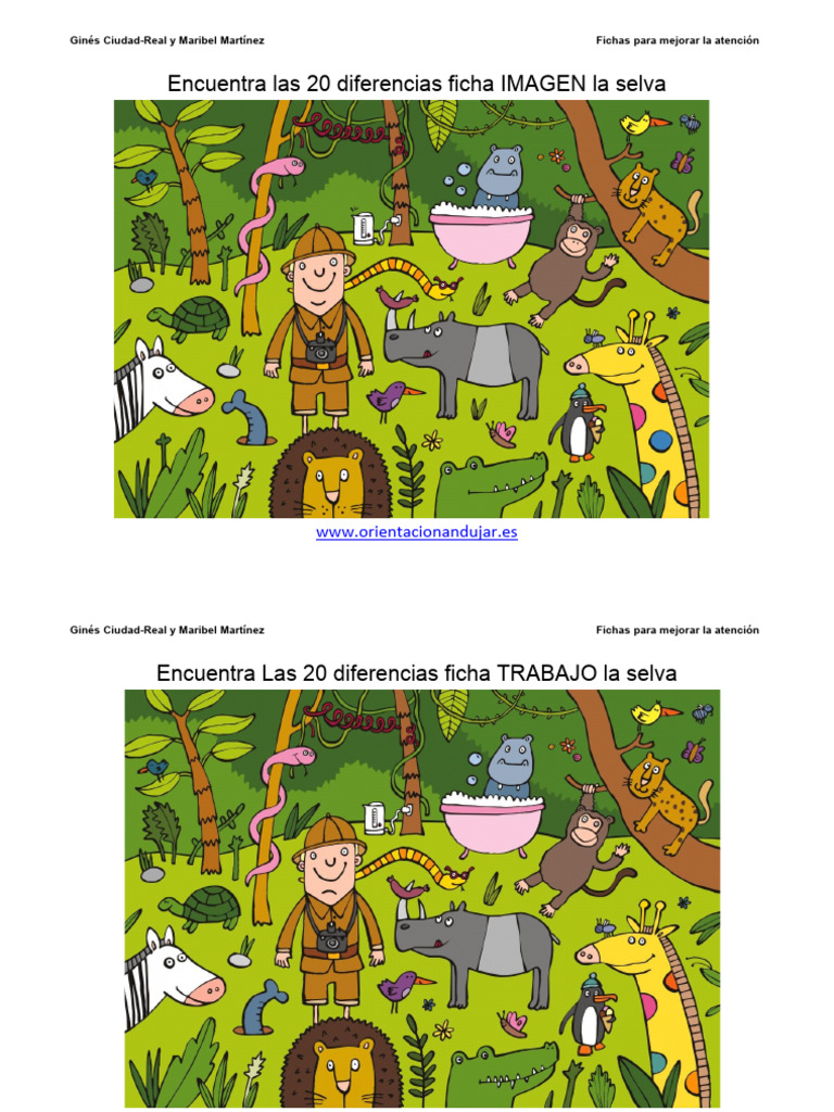 Encuentra Las 20 Diferencias Ficha Color La Selva A4 | PDF