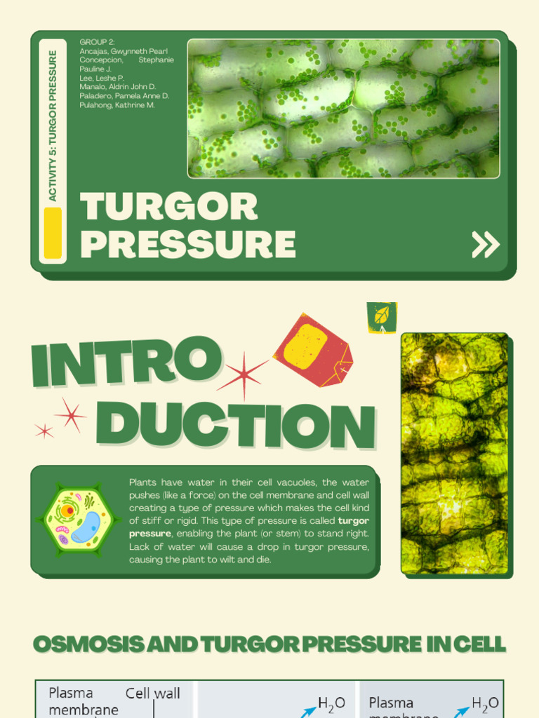 Effects of Turgor Pressure on Plants | PDF | Life Sciences | Biology