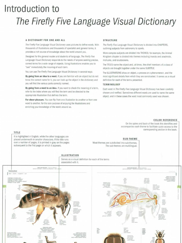 Vamos - The 5 Language Visual Dictionary English Spanish French German ...