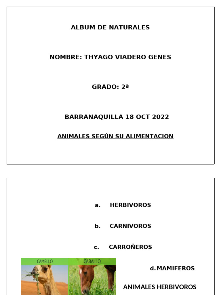 Exposición de Mamíferos para Niños | PDF | Mamíferos | Reptil
