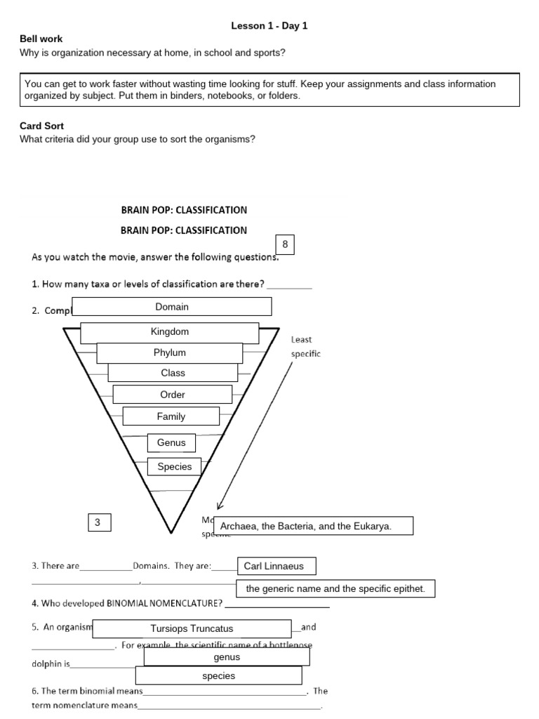 Biology Classification Basics | PDF | Taxonomy (Biology) | Genus