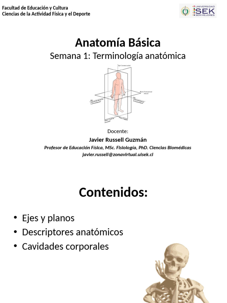 Anatomía Básica - Semana 1 - Orientación Anatómica | PDF | Términos ...