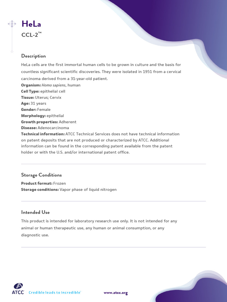 CCL-2 Product Sheet - HeLa | PDF | Cervical Cancer | Atcc (Company)