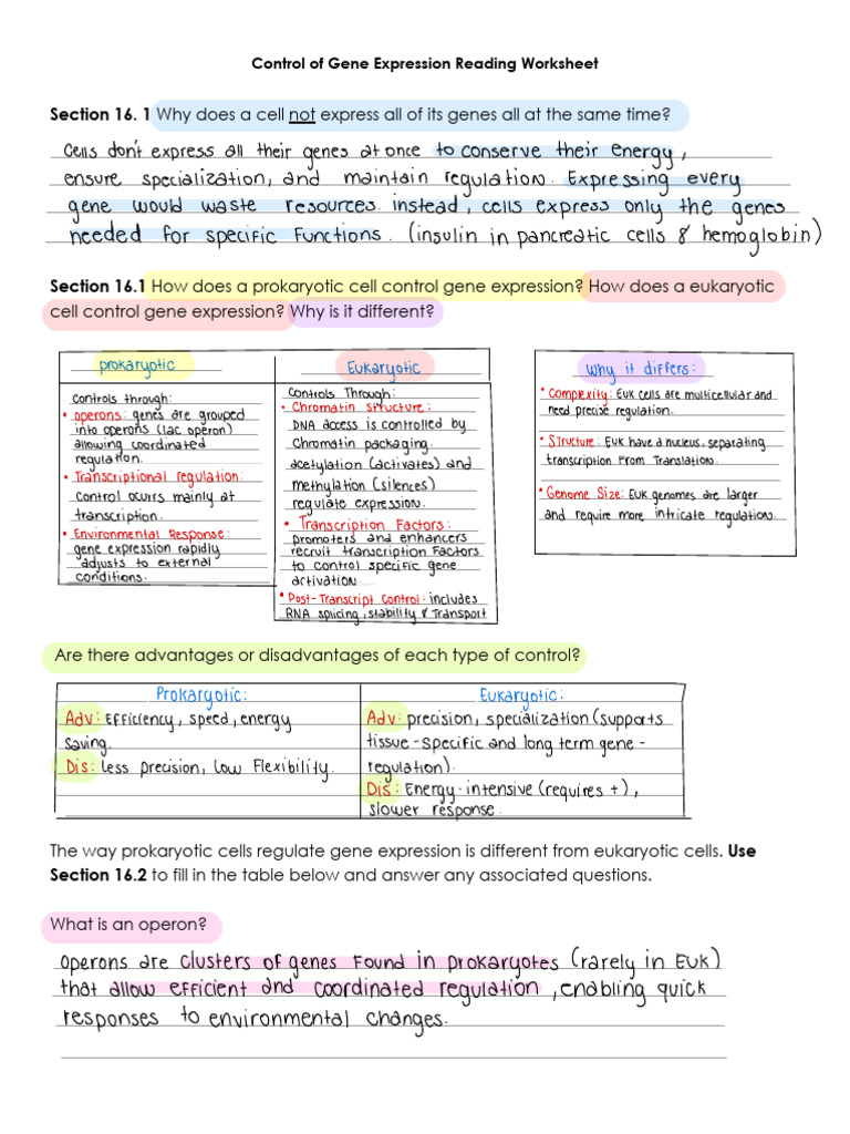 Gene Expression Control Guide | PDF | Operon | Repressor