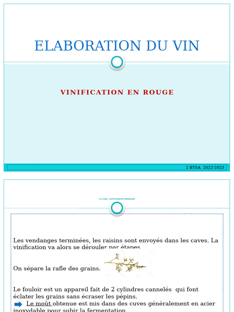 Elaboration Du Vin 2022 | PDF | Vinification | Dégustation de vins