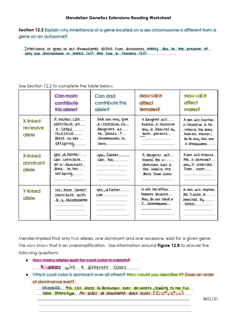 Mendelian Genetics Extensions Reading Worksheet | PDF | Dominance ...