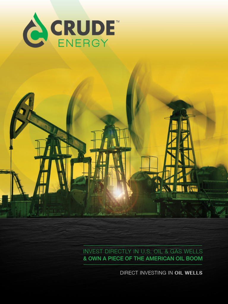 Direct Investment in U.S. Oil Wells | PDF | Petroleum | Investing