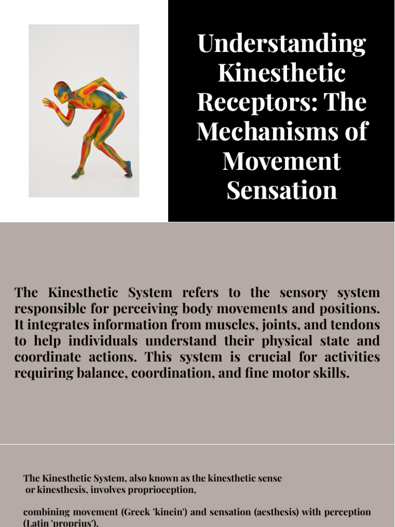 Slidesgo Understanding Kinesthetic Receptors the Mechanisms of Movement ...