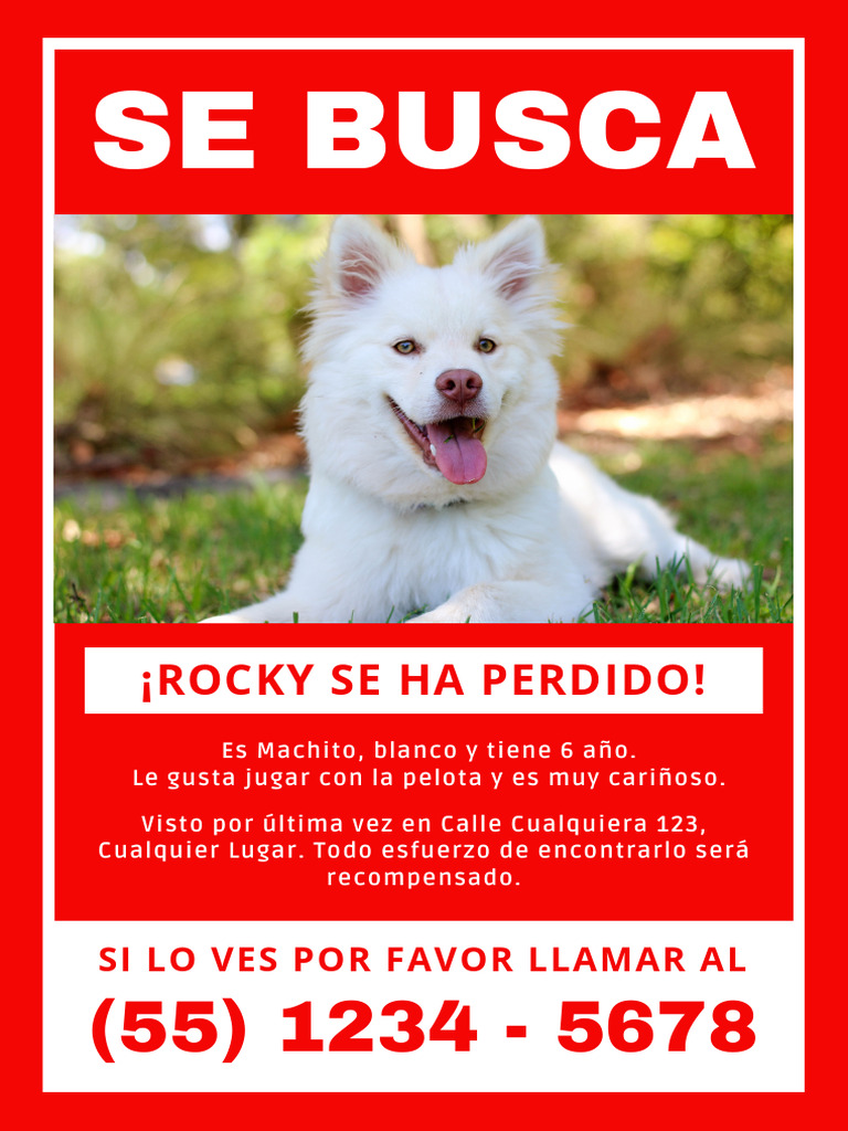 Flyer Se Busca Mascota Perdida Fotográfica Rojo y Blanco | PDF