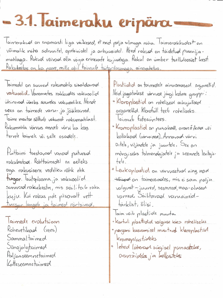 Taimed | PDF