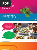 Life Science Grade 11 Term 3 Notes | PDF | Kidney | Urine