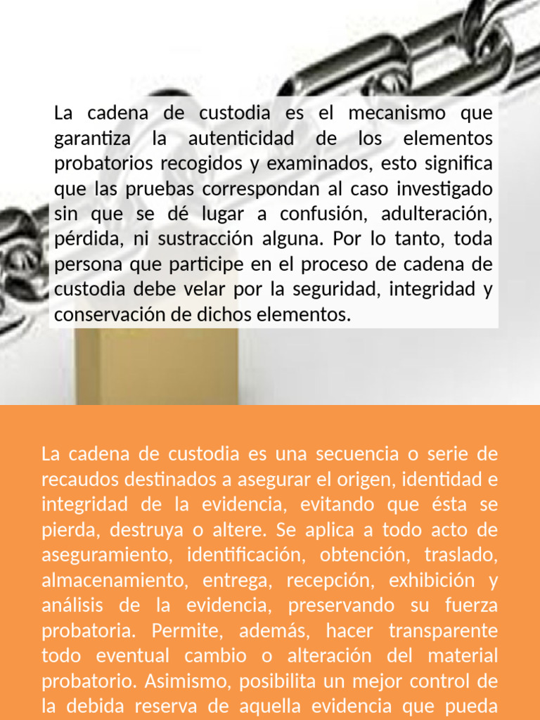 Cadena de Custodia | PDF | Informática