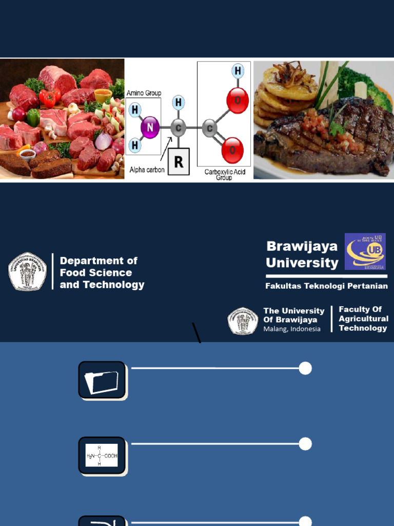 Protein 141225053614 Conversion Gate02 | PDF | Amino Acid | Biotechnology