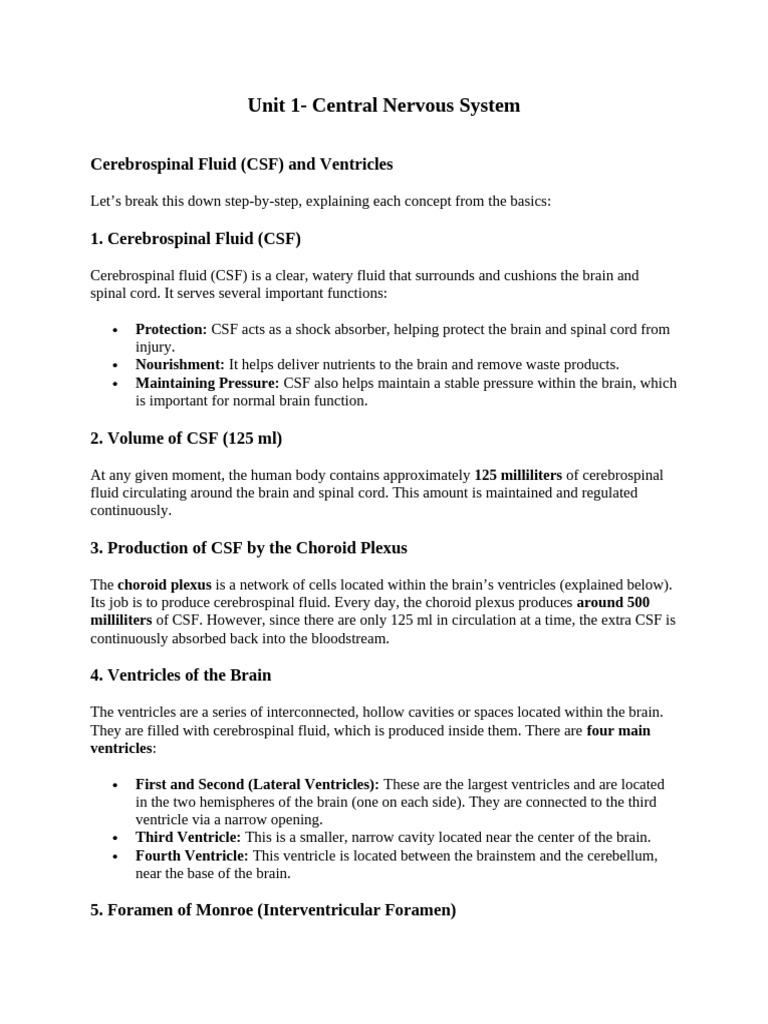 Central Nervous System (Lecture 4) | PDF | Cerebrospinal Fluid | Motor ...