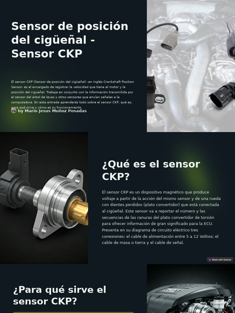 Guía Completa del Sensor CKP | PDF | Distribuidor | Sensor
