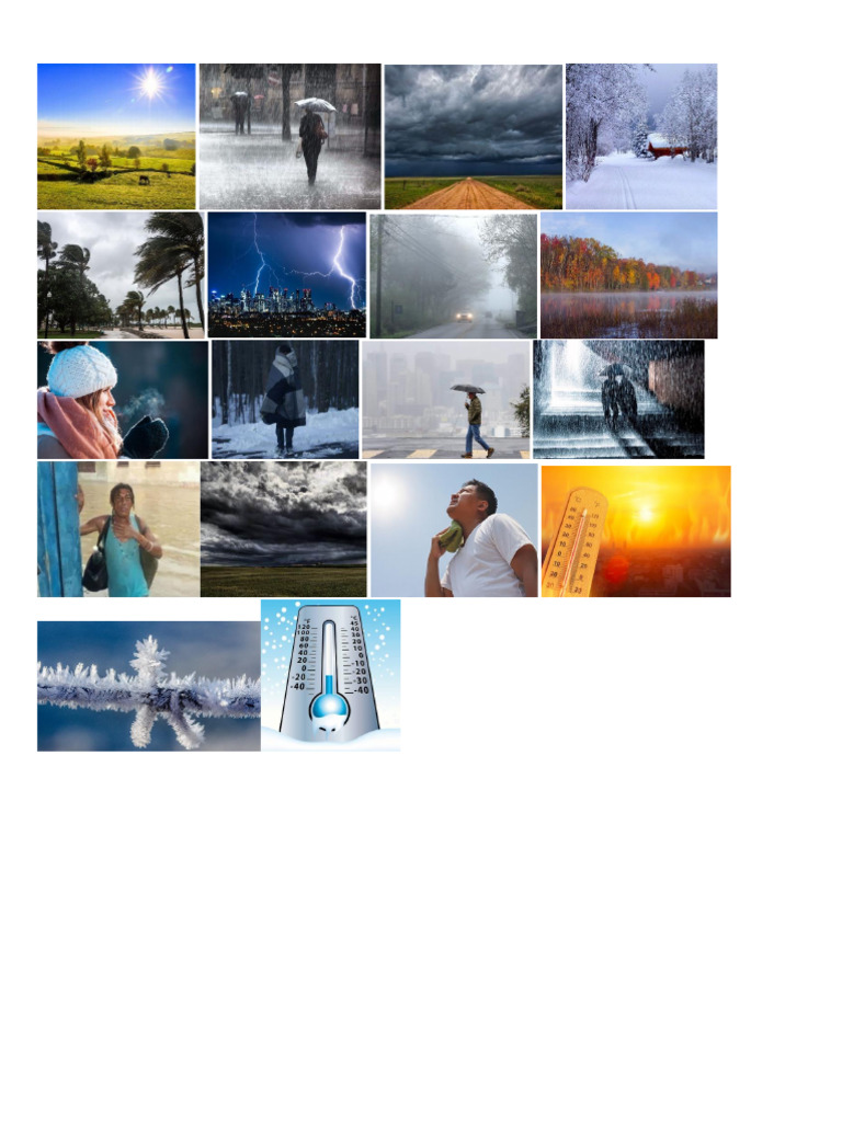 Weather Activity | PDF