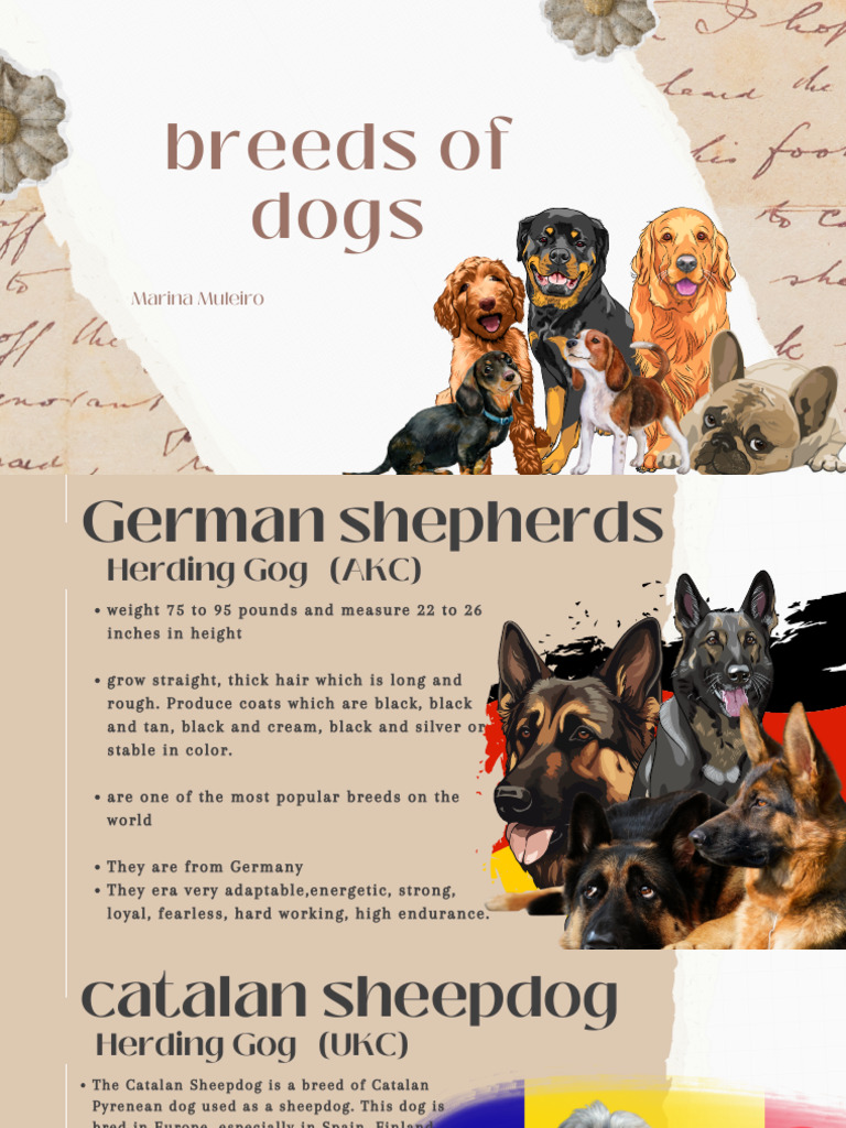 breeds of dogs | PDF | Dogs As Pets | Working Dogs